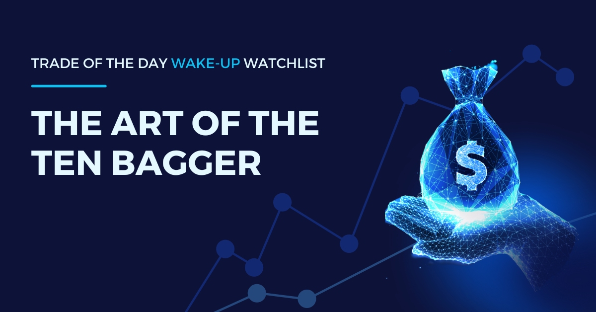 The Art of the Ten Bagger: Unlock the Secrets of 1,000% Returns - Trade ...